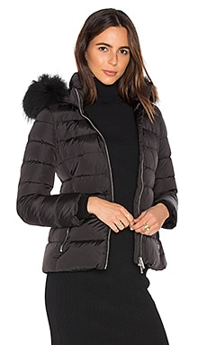 ADD Down Jacket with Asiatic Raccoon Fur Collar in Black | REVOLVE