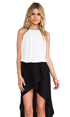 Alexis Swift Dress in Black & White | REVOLVE