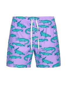Chubbies The Gem Glades 5.5" Swim Short in Bright Purple | REVOLVE