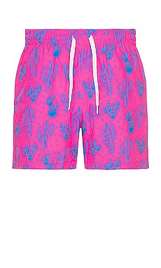Chubbies The Grand Mirages 5.5" Classic Swim Trunk in Bright Pink | REVOLVE
