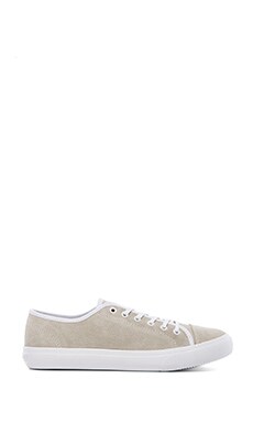 Generic Surplus Wellington in Off White Suede | REVOLVE