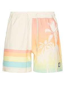 Marine Layer 4 Way Stretch Swim Trunk 5.5" in Ombre Palm | REVOLVE