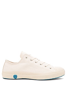 Shoes Like Pottery Low Top Canvas in White | REVOLVE