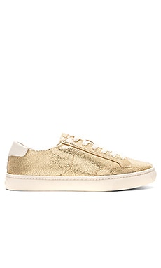 Soludos Metallic Lace Up Sneaker in Pale Gold | REVOLVE