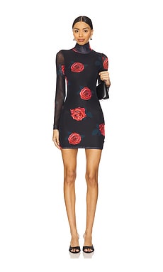 superdown Liora Mini Dress in Rose Multi | REVOLVE