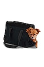 BEIS The Pet Everyday Tote in Black | REVOLVE