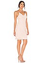 Bobi Botanical Lace Mini Dress in Blush | REVOLVE