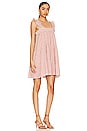 Cleobella Rayan Mini Dress in Rose Gingham | REVOLVE