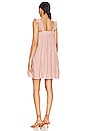Cleobella Rayan Mini Dress in Rose Gingham | REVOLVE