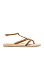cocobelle Arrow Sandal in Brown | REVOLVE