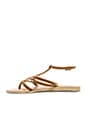 cocobelle Arrow Sandal in Brown | REVOLVE