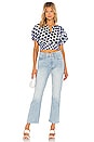 Diane von Furstenberg Lucy Top in Daisy Dots Large True Blue | REVOLVE