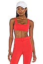 GIGI C sport Annie Bra in Coral | REVOLVE