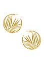 gorjana Palm Profile Hoops in Gold | REVOLVE