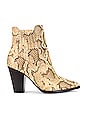 House of Harlow 1960 x REVOLVE Simone Chelsea Boot in Natural Snake ...