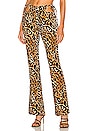 h:ours Nyla Pant in Leopard | REVOLVE