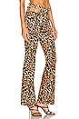 h:ours Nyla Pant in Leopard | REVOLVE