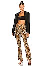 h:ours Nyla Pant in Leopard | REVOLVE