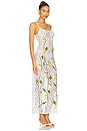 Leslie Amon Under The Lemon Tree Dress in Lace Embroidered | REVOLVE