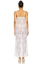 Leslie Amon Under The Lemon Tree Dress in Lace Embroidered | REVOLVE