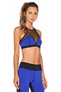 MICHI Bionic Bra in Indigo Blue & Black | REVOLVE