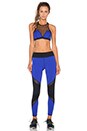 MICHI Bionic Bra in Indigo Blue & Black | REVOLVE