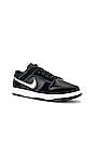 Nike Dunk Low Retro Nas Sneaker in Black, White, & Anthracite | REVOLVE
