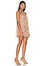 Raga Crystal Rose Dress in Beige | REVOLVE