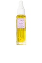 Rodin Face Oil in Lavender | REVOLVE