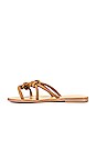 Sol Sana Ginger Slide in Tan | REVOLVE