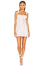 superdown Daria Mini Dress in Floral | REVOLVE