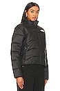 The North Face TNF Jacket 2000 in TNF Black | REVOLVE