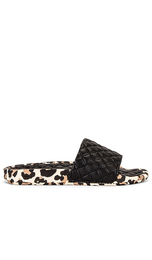 APL: Athletic Propulsion Labs Lusso Slide in Black & Leopard | REVOLVE