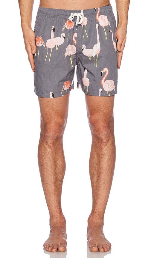 Ambsn Mingo Boardshort in Coal | REVOLVE