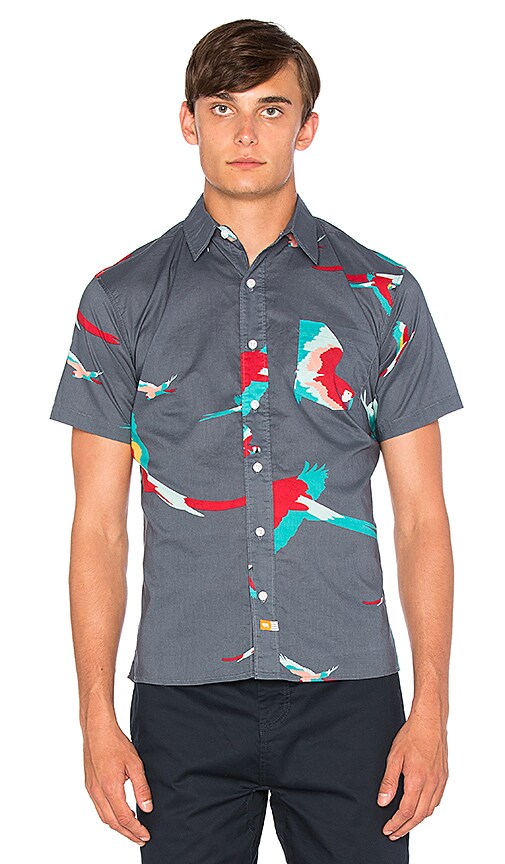 Ambsn Parrot Button Down in Coal | REVOLVE