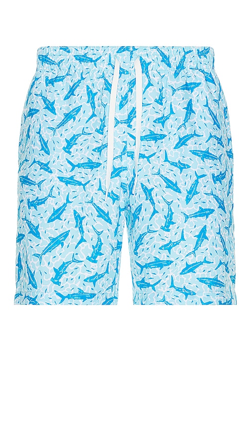 Chubbies The Shark Sides 7" Classic Swim Trunk in Bright Blue | REVOLVE