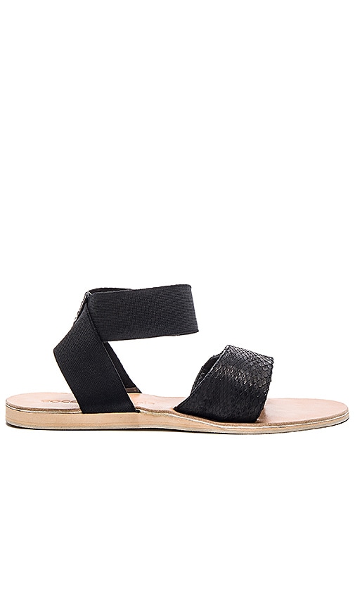 cocobelle Luella Sandal in Black | REVOLVE