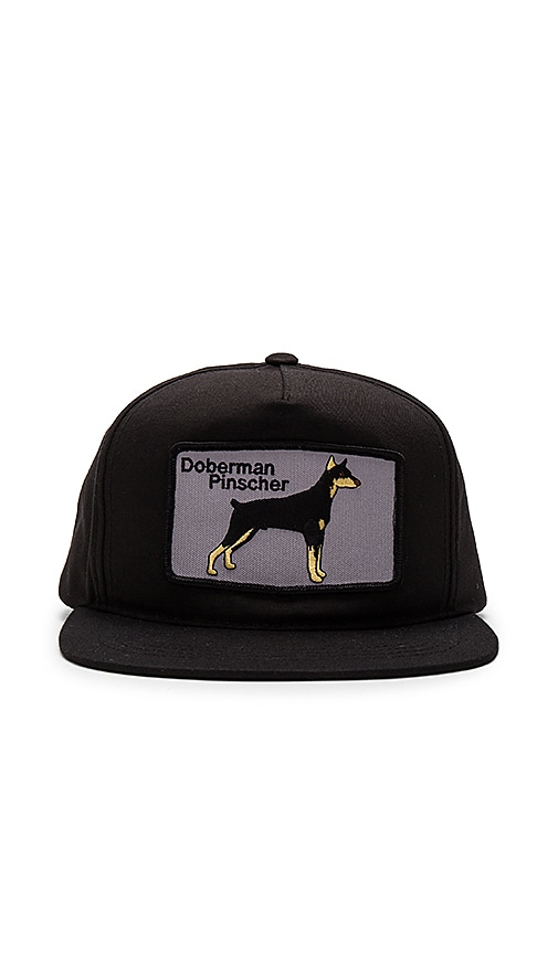 Dog Limited Doberman Snapback in Black | REVOLVE