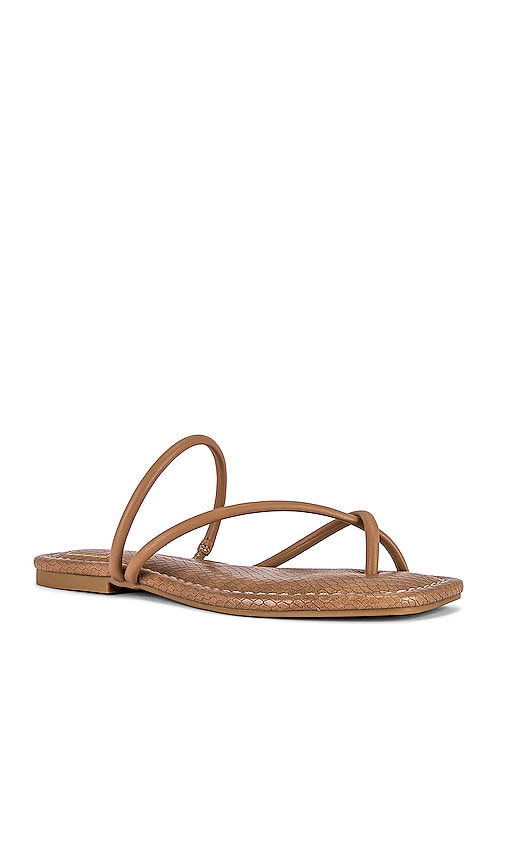 Women's Designer Sandals | Black & White Fancy Flip Flops