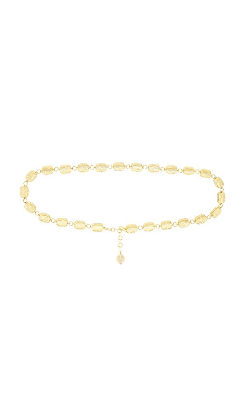 Elizabeth Cole Adara Belt in Gold | REVOLVE