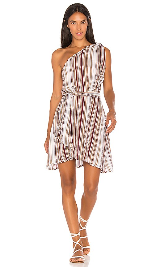 FAITHFULL THE BRAND Mandolin Dress in Franklin Stripe Print | REVOLVE