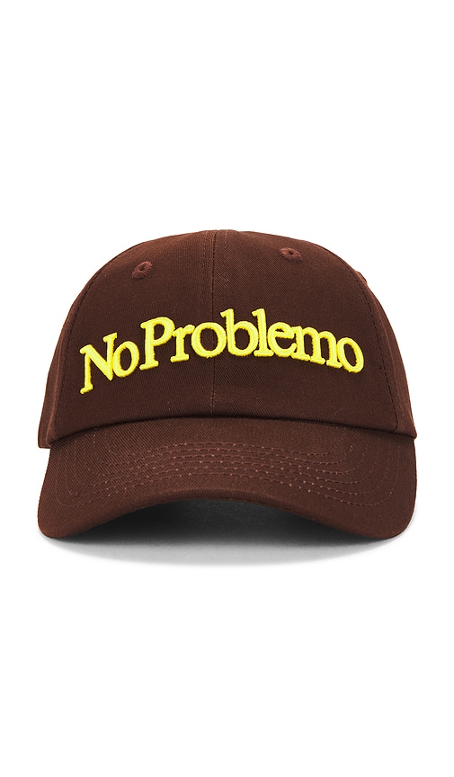 No Problemo Cap in Brown | REVOLVE