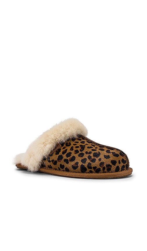 Chaussures Femme - REVOLVE