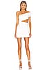 Lovers and Friends Rowan Mini Dress in White | REVOLVE