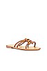Sol Sana Ginger Slide in Tan | REVOLVE
