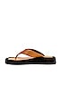 Tony Bianco Ives Sandal in Tan Como | REVOLVE