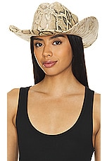 8 Other Reasons Cowboy Hat in Snakeskin | REVOLVE