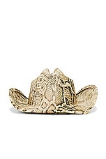 8 Other Reasons Cowboy Hat in Snakeskin | REVOLVE