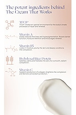 Augustinus Bader The Cream 30ml | REVOLVE