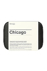 Aesop Chicago Travel Kit | REVOLVE